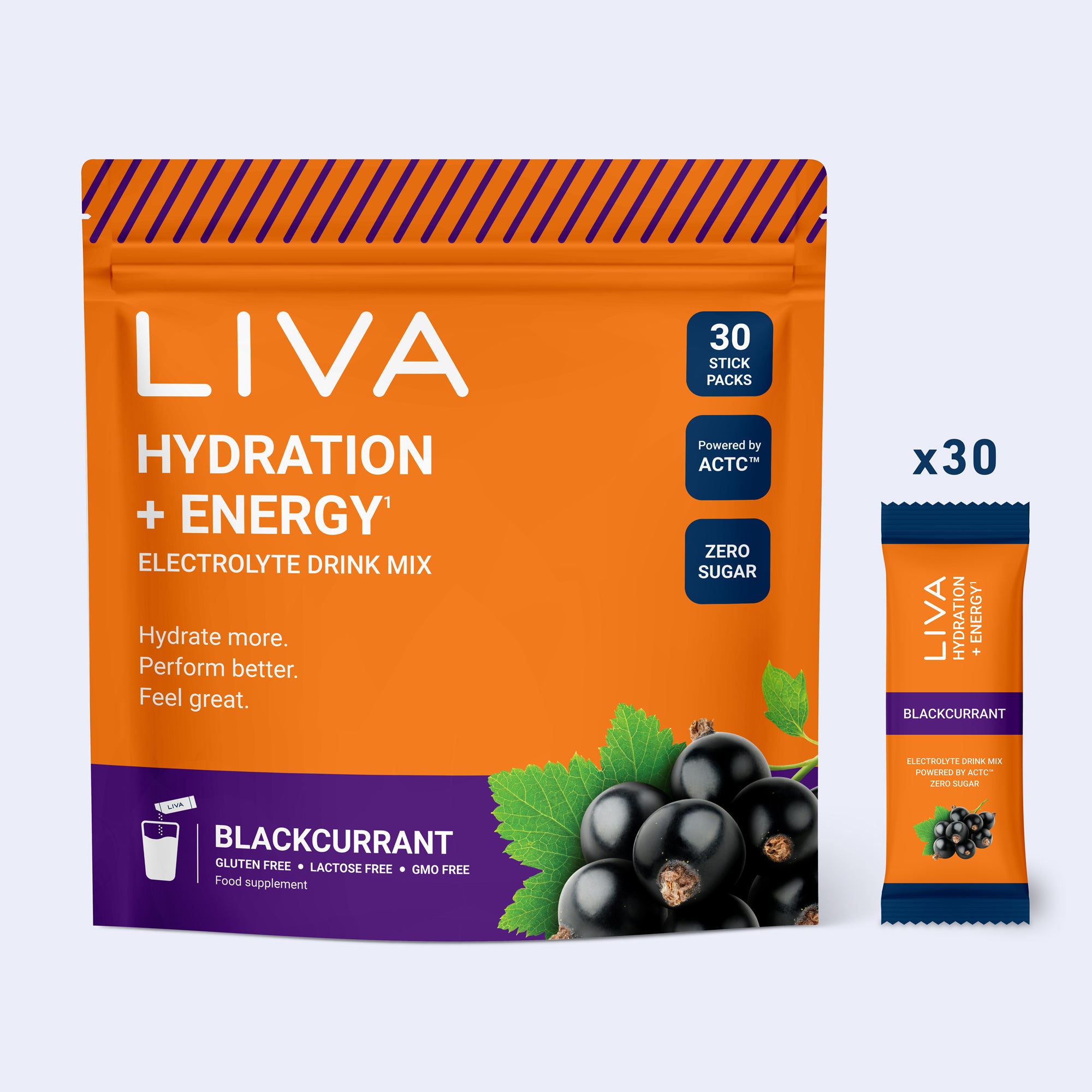 HYDRATION + ENERGY - Blackcurrant